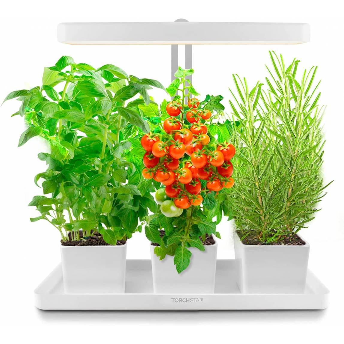 Indoor Herb Garden Kit
